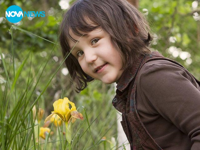 Семейство с петгодишно момиченце живее в крайна бедност Nova Bg