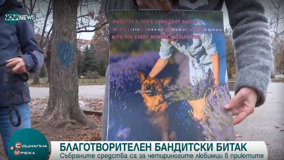 Благотворителен бандитски базар събира средства за животни в приюти Общество България